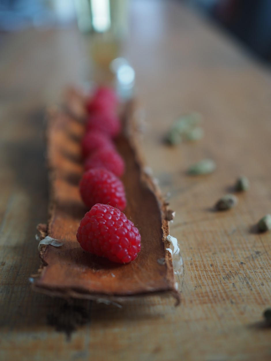 Aquavit, Raspberry & Cardamom Sorbet (Akevittsorbet) - North Wild Kitchen