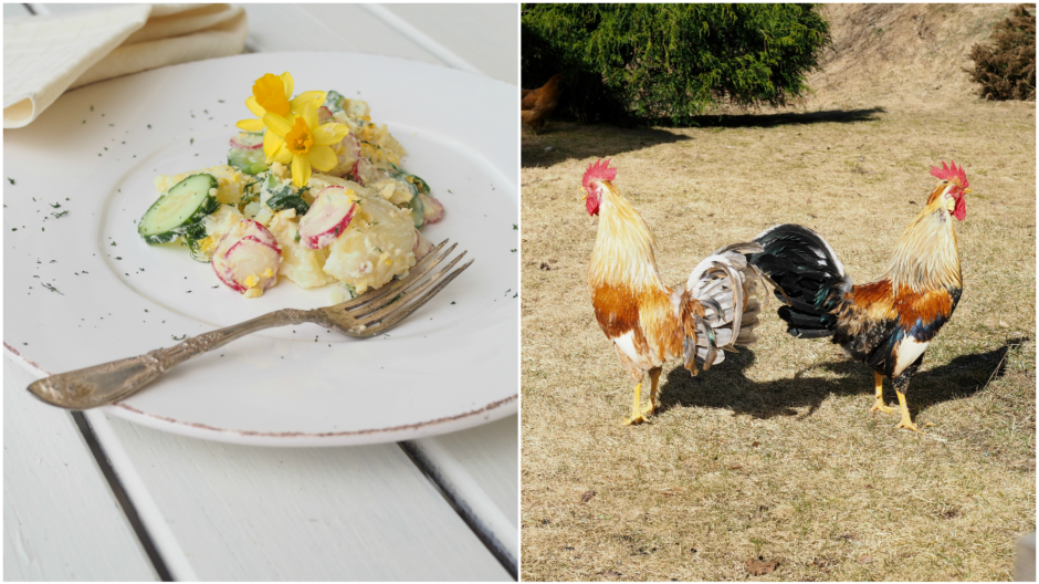 Norwegian Spring Potato Salad (Potetsalat) - North Wild Kitchen