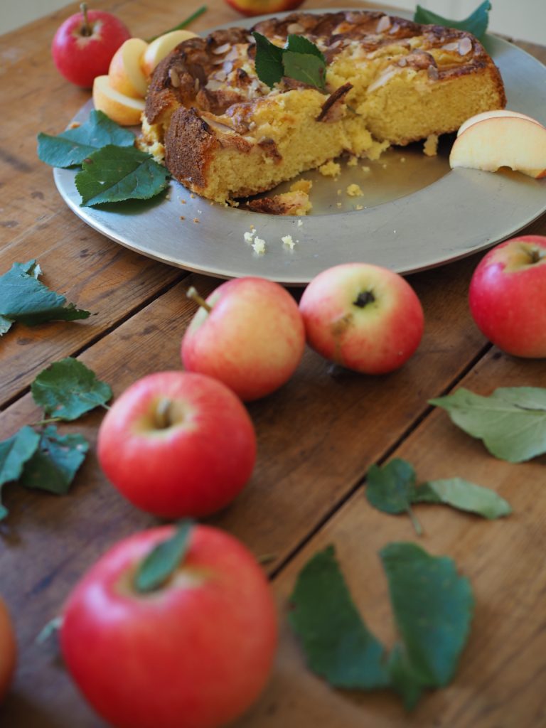Eplekake (Apple Cake) - North Wild Kitchen