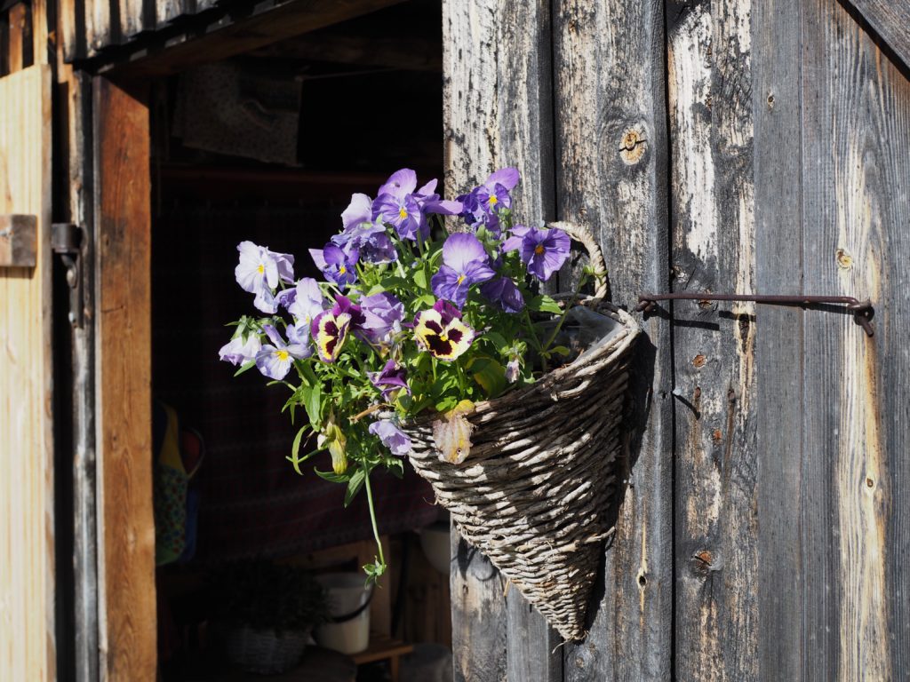 A Norwegian Seter {Mountain Farm Life} - North Wild Kitchen