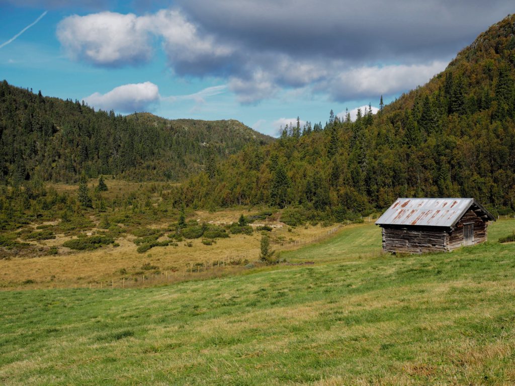 A Norwegian Seter {Mountain Farm Life} - North Wild Kitchen
