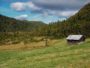 A Norwegian Seter {Mountain Farm Life} - North Wild Kitchen