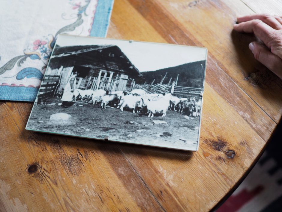 A Norwegian Seter {Mountain Farm Life} - North Wild Kitchen