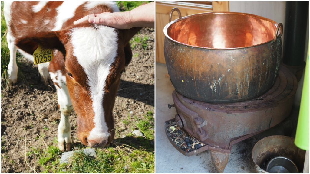 A Norwegian Seter {Mountain Farm Life} - North Wild Kitchen
