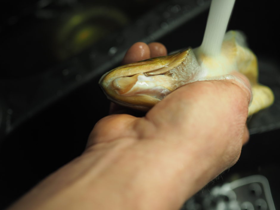 Håvardsrud Rakfisk - North Wild Kitchen