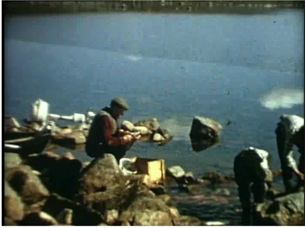 Håvardsrud Rakfisk - North Wild Kitchen