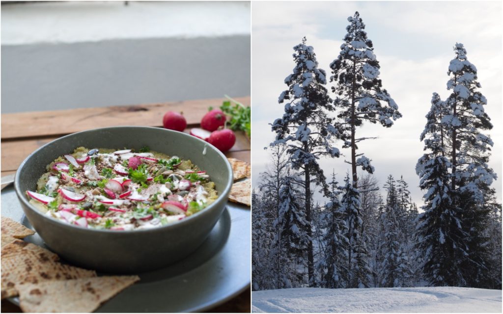 Stewed Green Pea Dip with Radishes (Ertestuing-dipp) - North Wild Kitchen