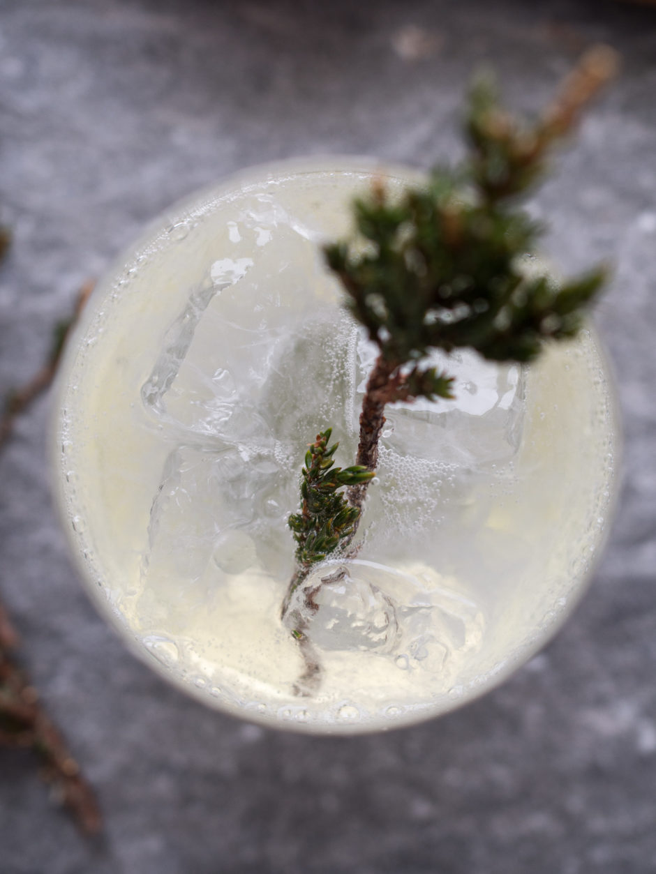 Aquavit, Orange, and Juniper Cocktail (Akevitt-cocktail med appelsin og einer) - North Wild Kitchen