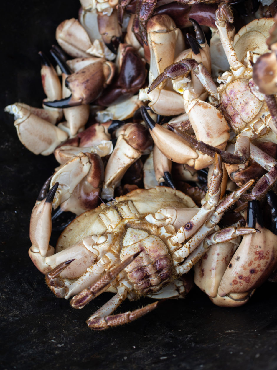 The Island of Ona & Crab Fishing - North Wild Kitchen