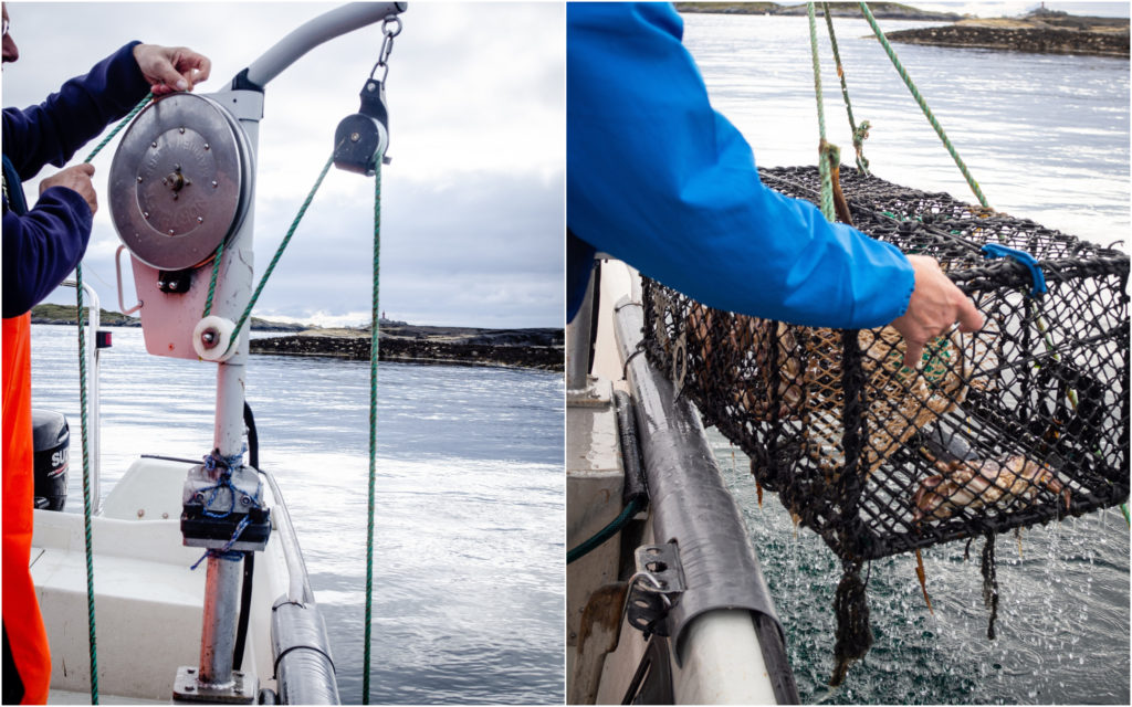 The Island of Ona & Crab Fishing - North Wild Kitchen