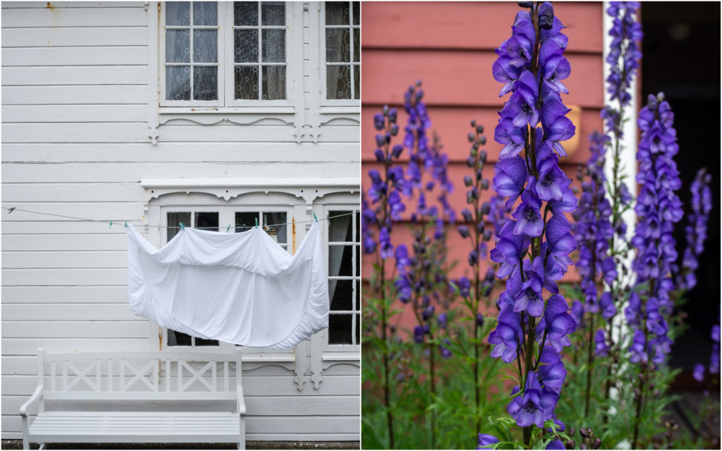 The Island of Ona & Crab Fishing - North Wild Kitchen