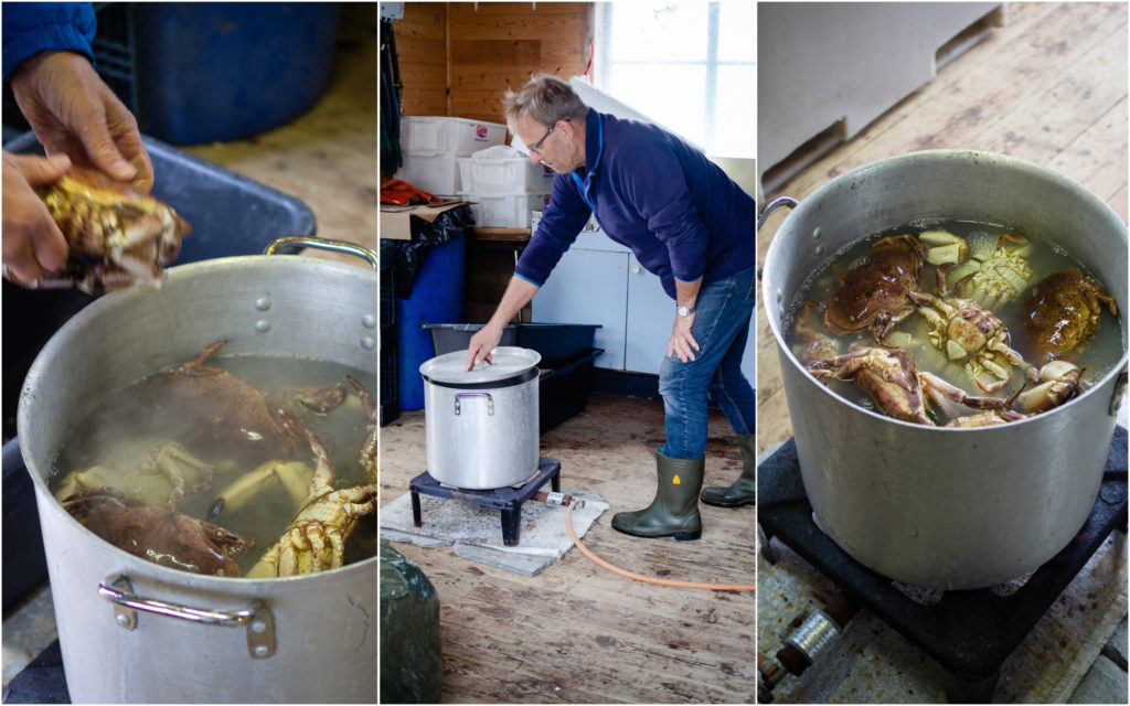 The Island of Ona & Crab Fishing - North Wild Kitchen
