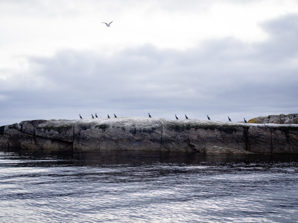 The Island of Ona & Crab Fishing - North Wild Kitchen