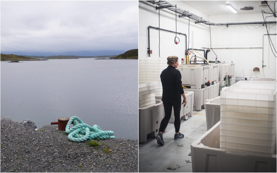 Salt from the Sea: A North Sea Salt Works Story - North Wild Kitchen