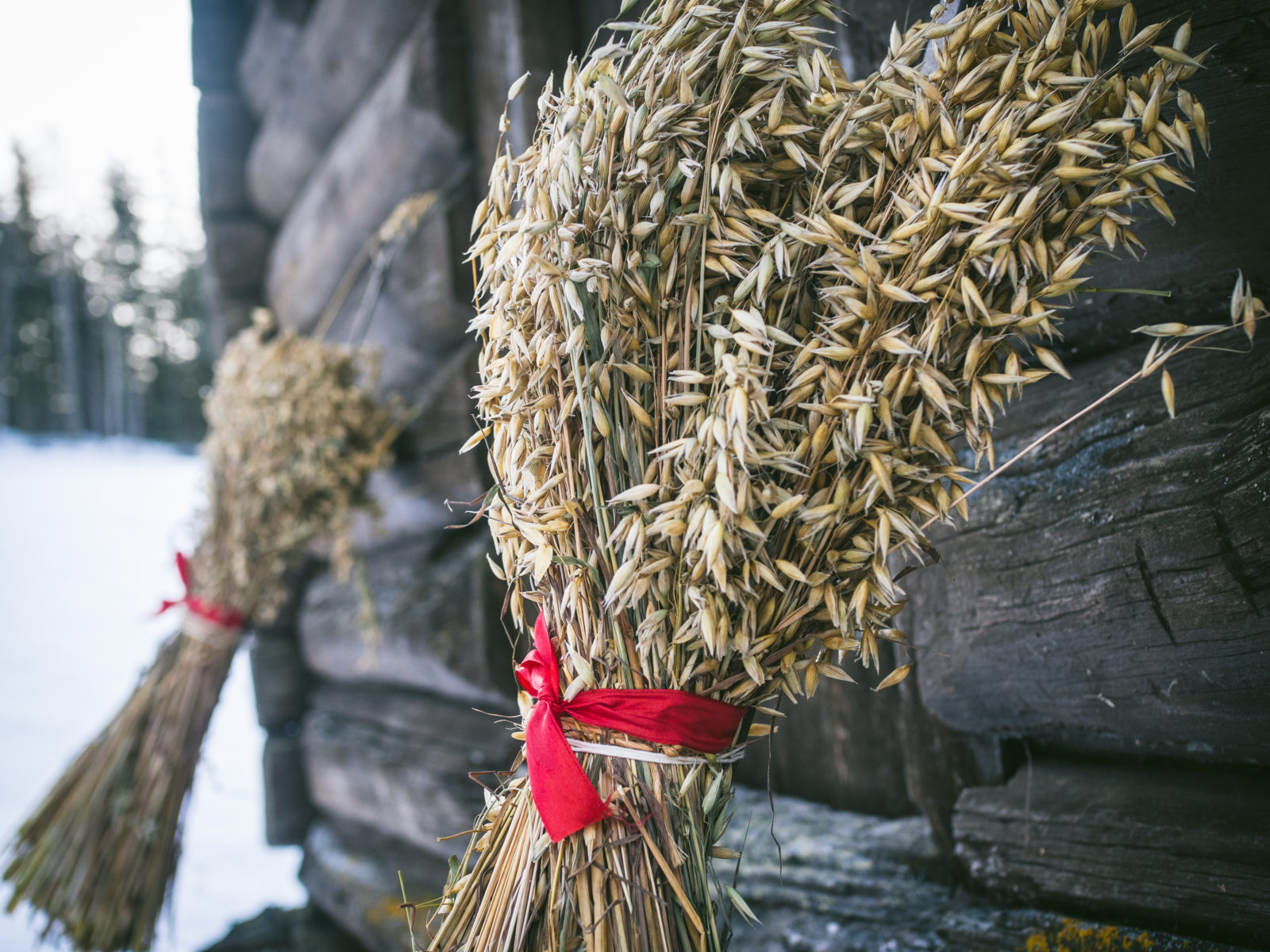 How to Celebrate Christmas like a Norwegian - North Wild Kitchen