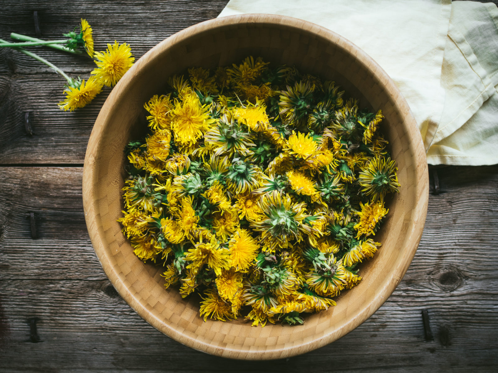 Beginner's Guide to Spring Foraging (Sanking) - North Wild Kitchen