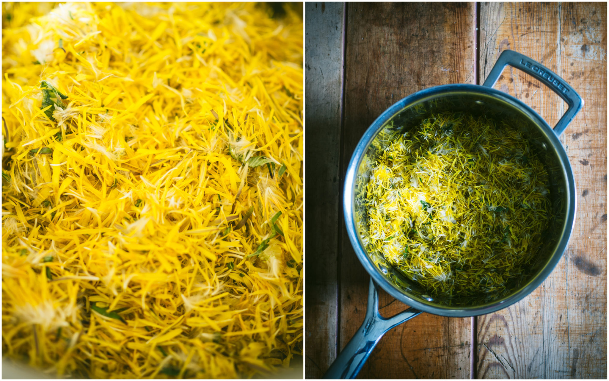 Dandelion Syrup (løvetannsirup) - North Wild Kitchen