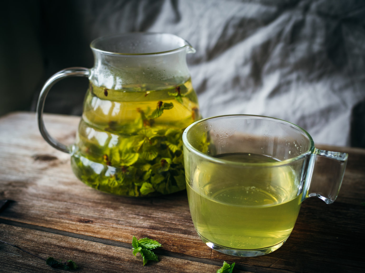 Birch Tea (bjørkete) - North Wild Kitchen