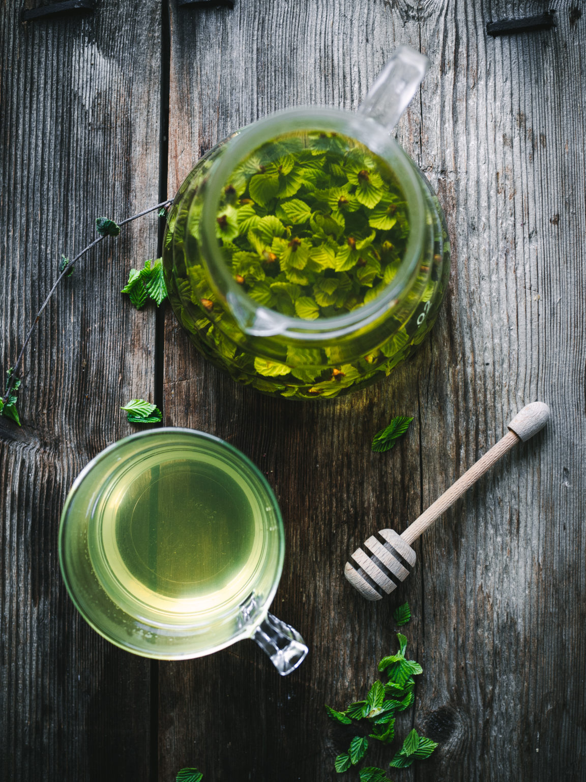 Birch Tea (bjørkete) - North Wild Kitchen