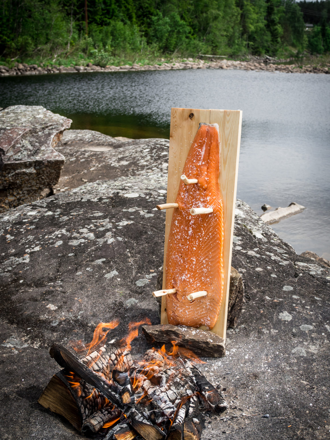 Plank Salmon (plankelaks) - North Wild Kitchen