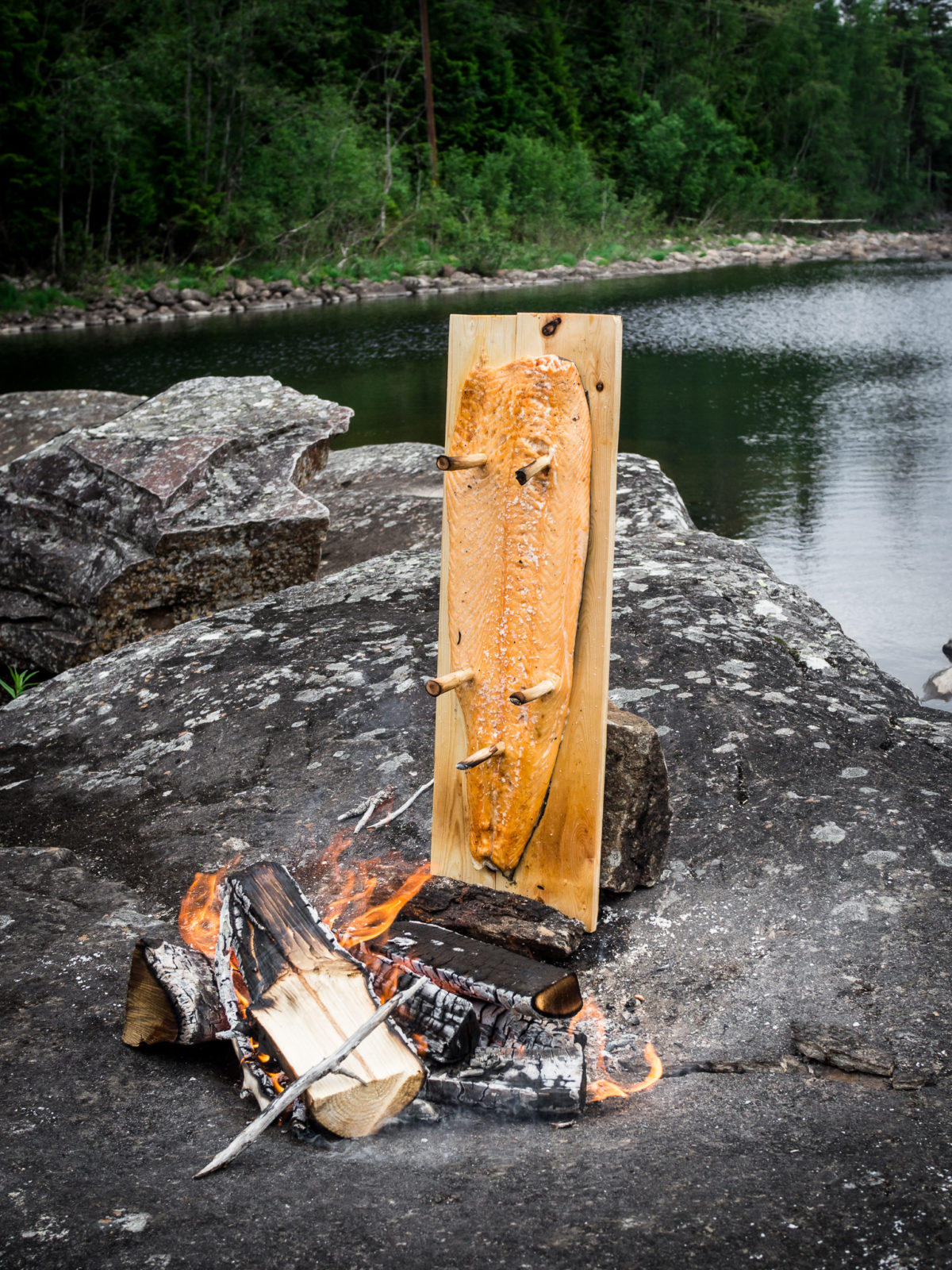Plank Salmon (plankelaks) - North Wild Kitchen