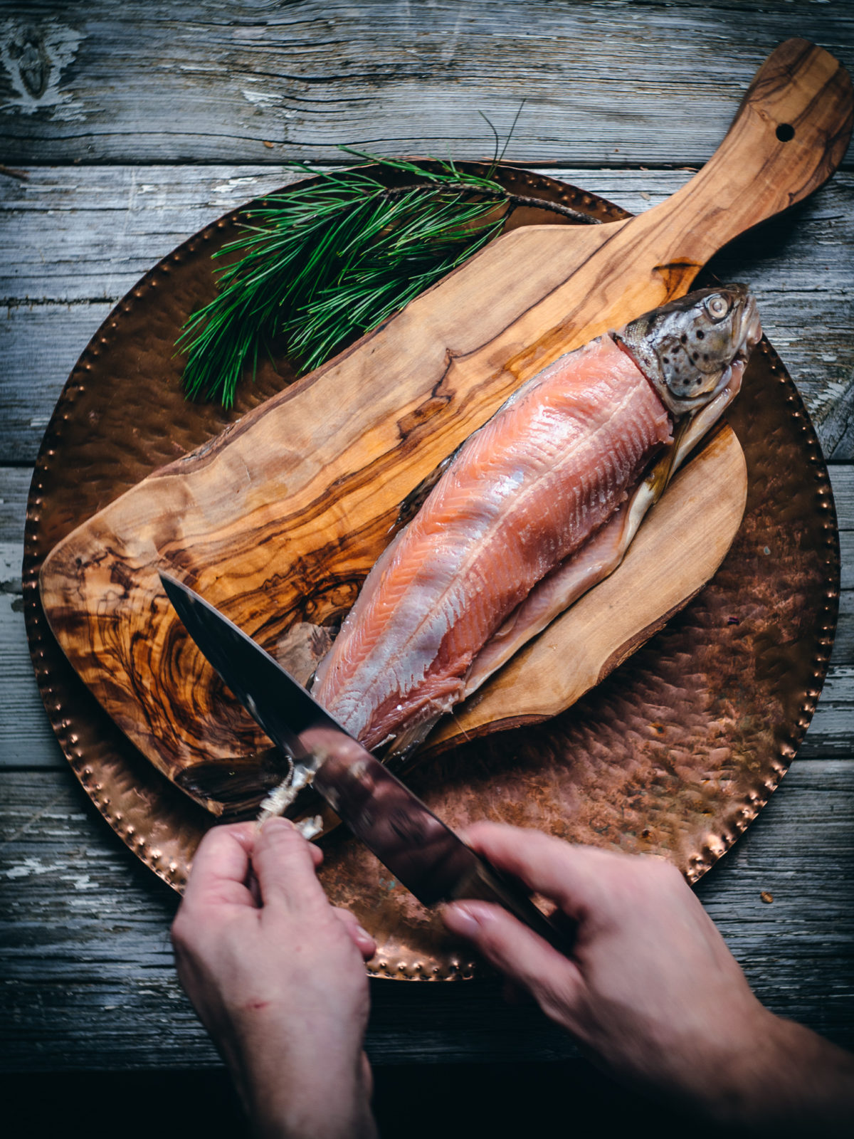 Norwegian Rakfisk (fermented fish) - North Wild Kitchen