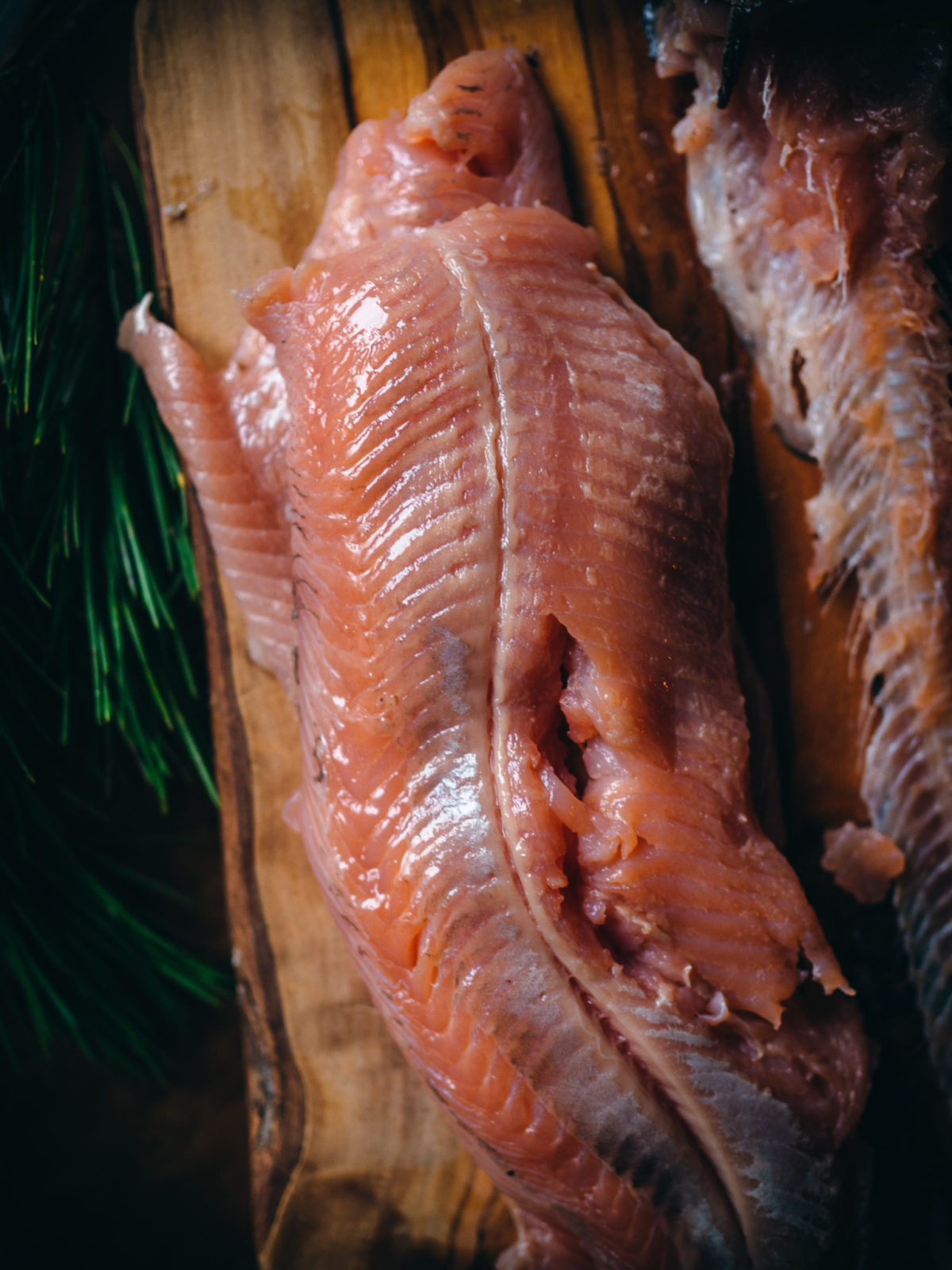 Norwegian Rakfisk (fermented fish) - North Wild Kitchen