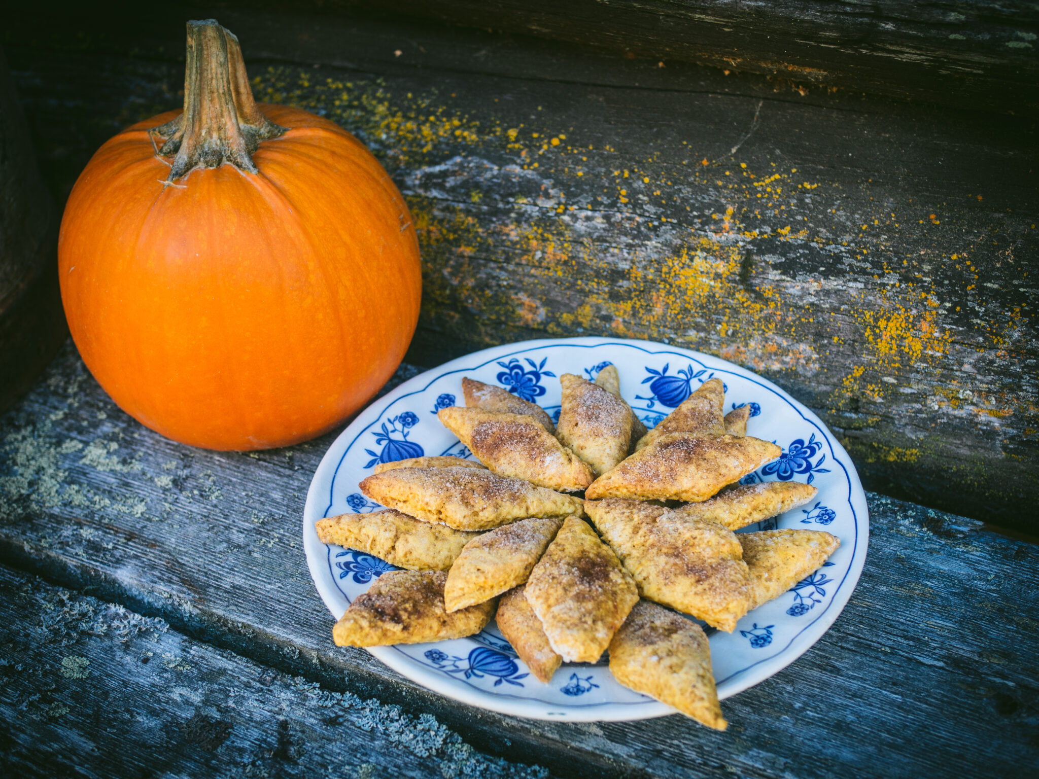 Pumpkin Collar Cookies (Snipp med Gresskar) - North Wild Kitchen