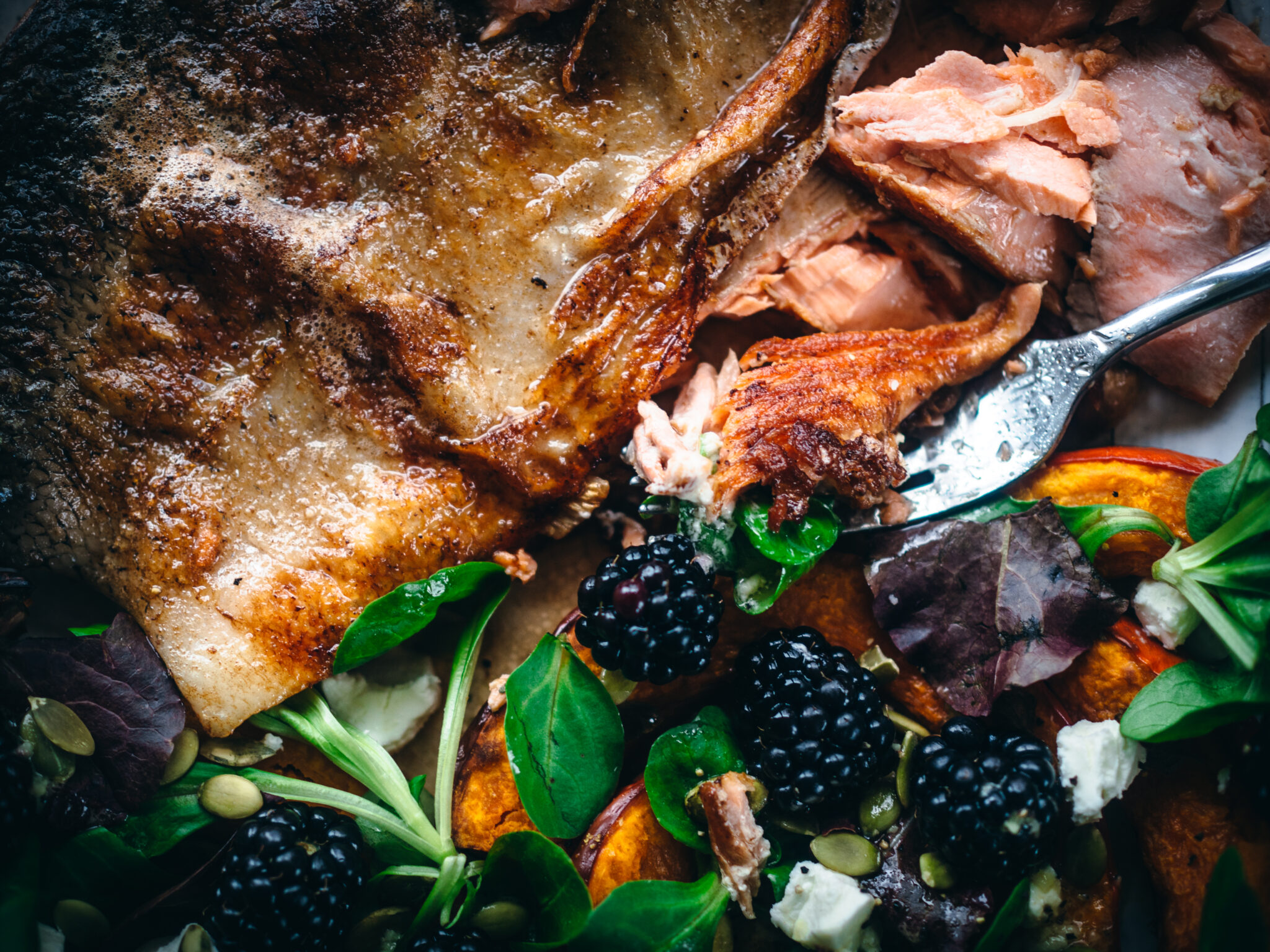 Pan-Seared Steelhead Trout with Roasted Pumpkin, Blackberries & Goat ...