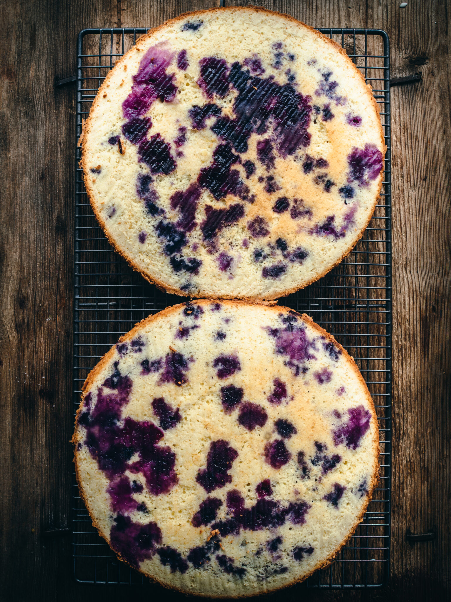 Lemon Blueberry Cream Cake (sitron- og blåbærkake) - North Wild Kitchen