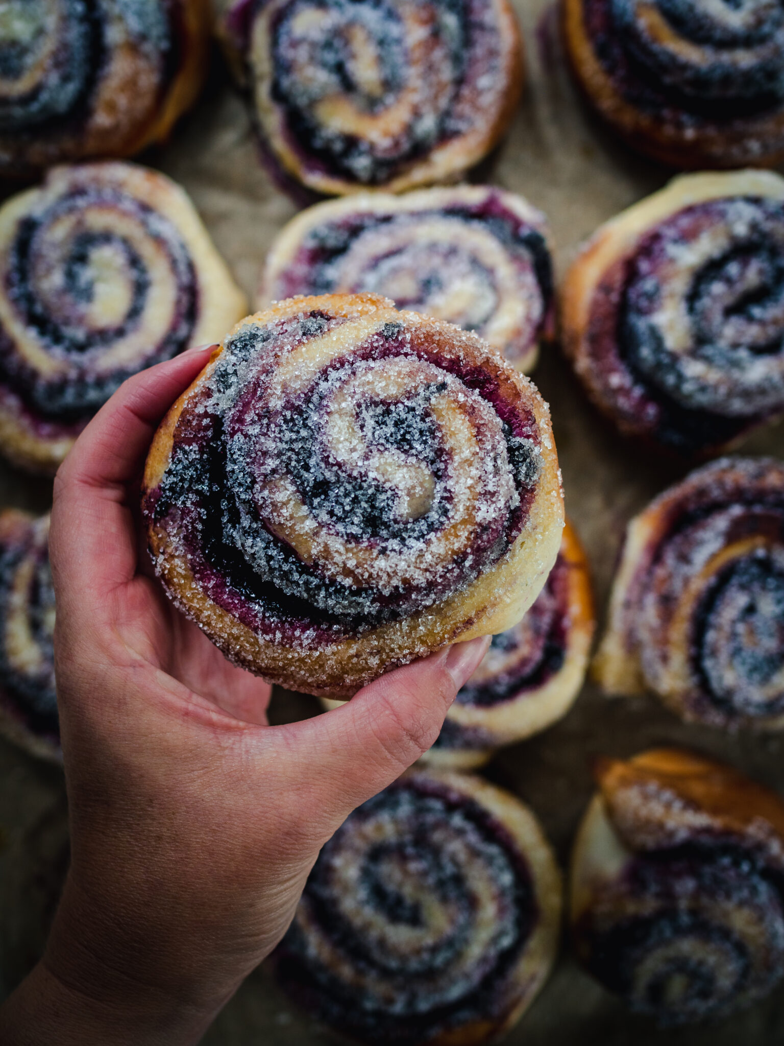 Bilberry ‘Wild Blueberry’ Buns (blåbærboller) - North Wild Kitchen